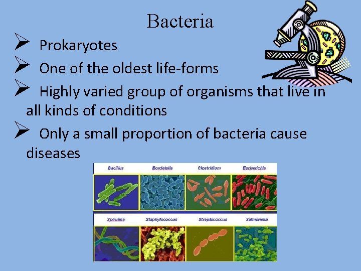 Microbes What are they and where do we