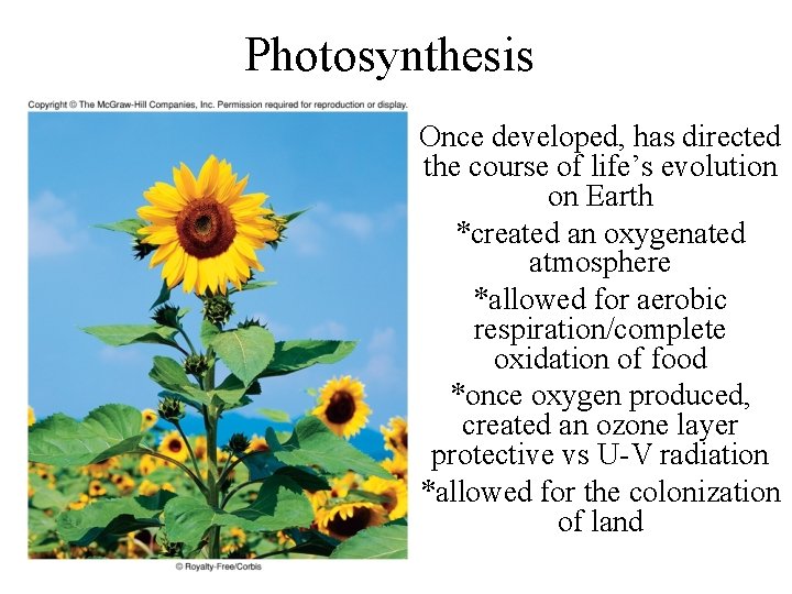 Photosynthesis Once developed has directed the course of