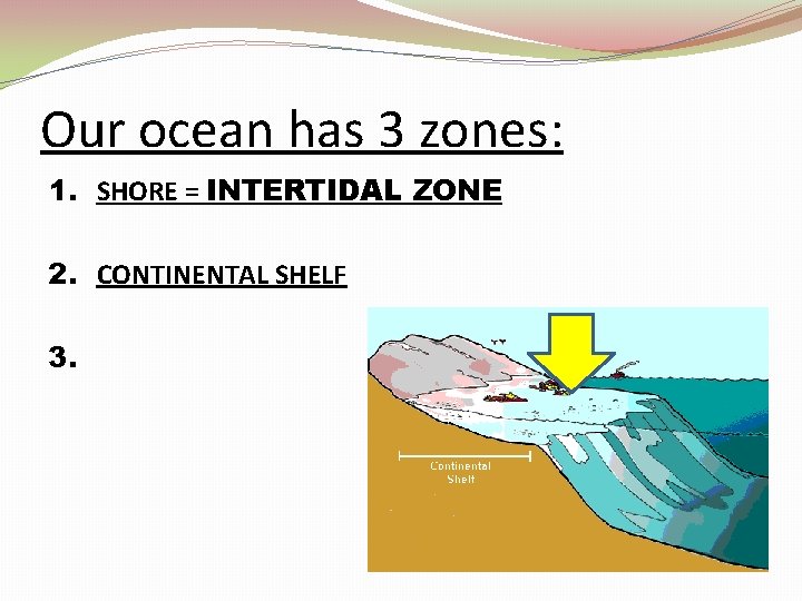 What kind of living things we find depends