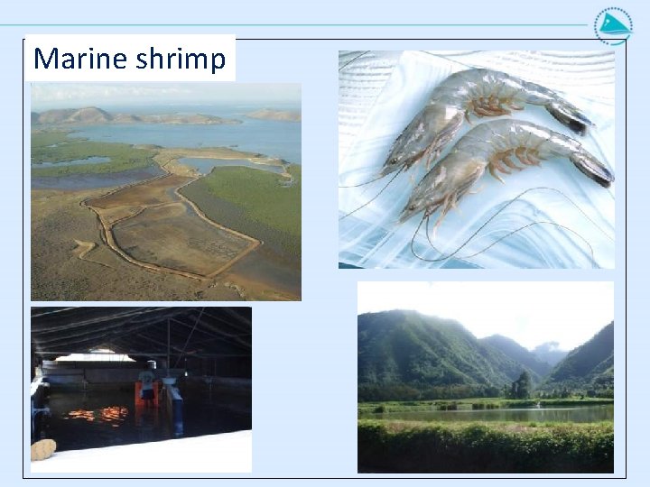 Projected changes to mariculture Presented by Timothy Pickering