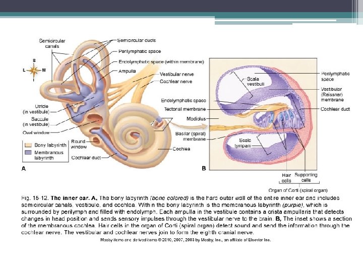 How We Sense Objects and Energy Sensing Body