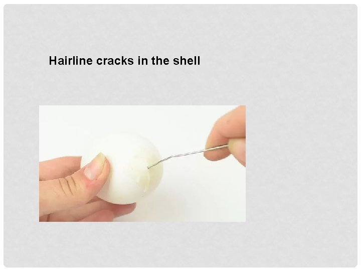 Chapter 1 Preparing Egg Dishes Prepared by Teacher