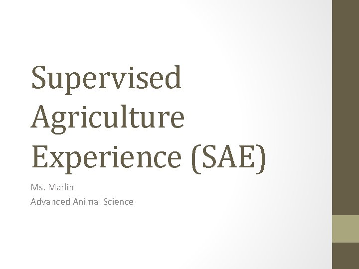 Supervised Agriculture Experience SAE Ms Marlin Advanced Animal