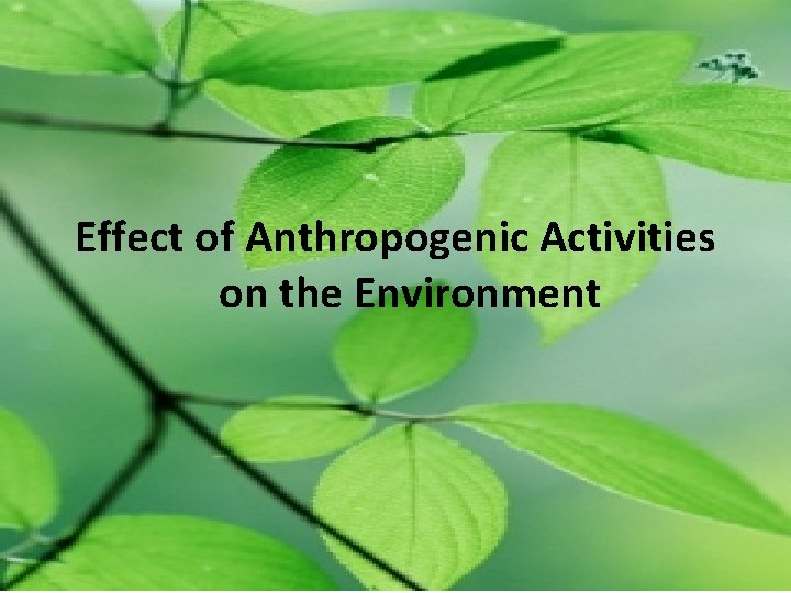 Effect of Anthropogenic Activities on the Environment INCREASE