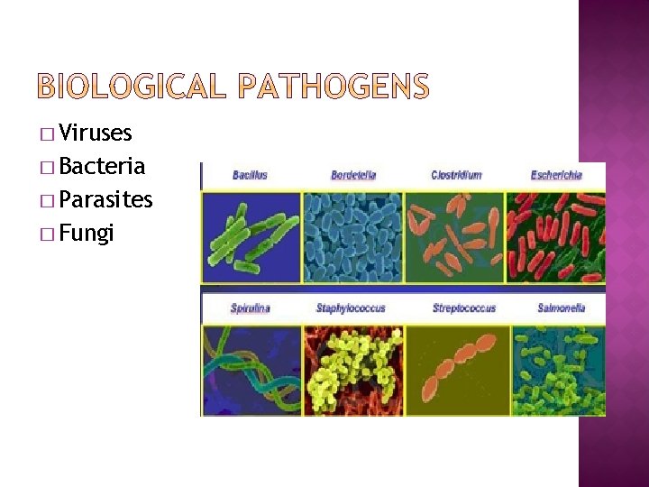 Objective Identify factors that affect foodborne bacteria FAT
