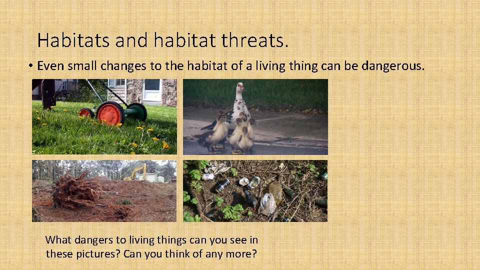 Science lesson 5 part 1 Habitats and habitat