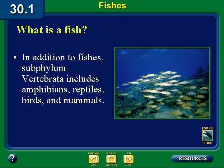 Section Objectives Relate the structural adaptations of fishes