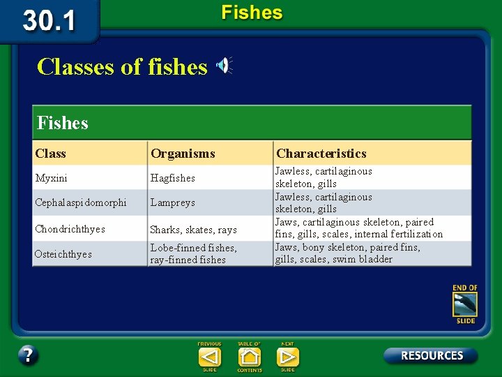 Section Objectives Relate the structural adaptations of fishes