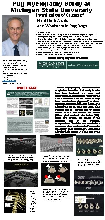 Pug Myelopathy Study at Michigan State University Investigation