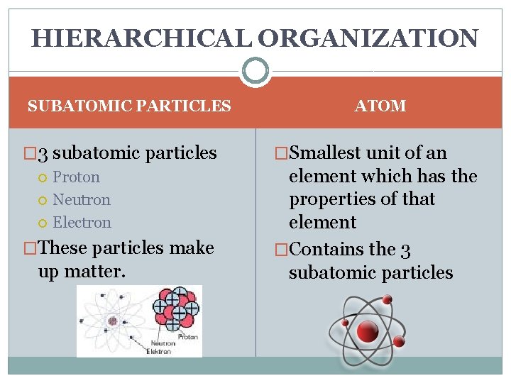 Big Idea 14 Organization and Development of Living