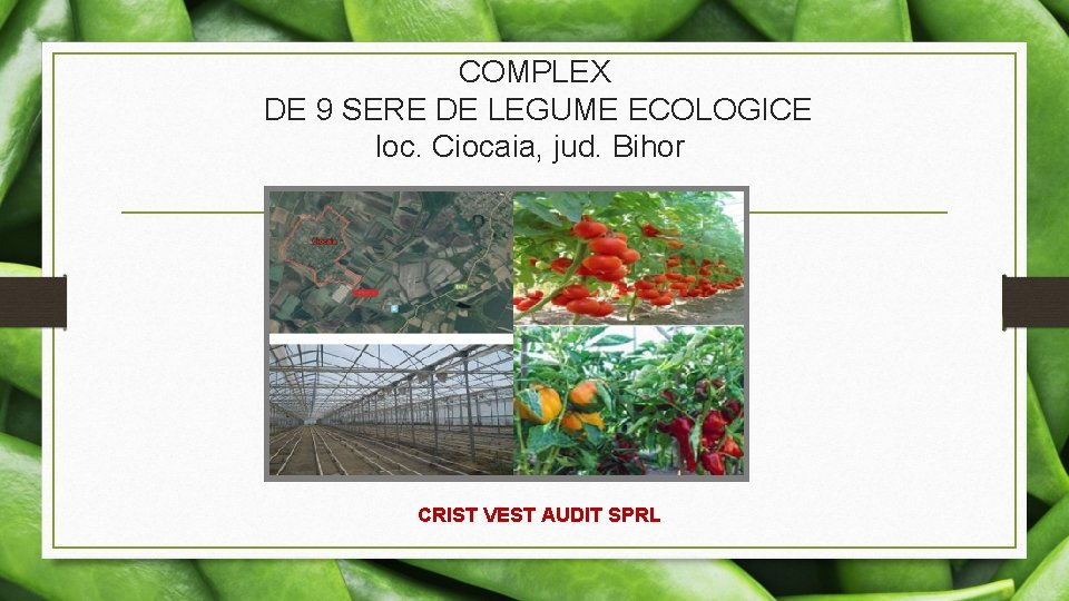 COMPLEX DE 9 SERE DE LEGUME ECOLOGICE loc