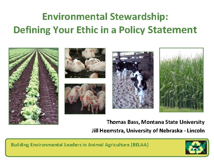 Environmental Stewardship Defining Your Ethic in a Policy