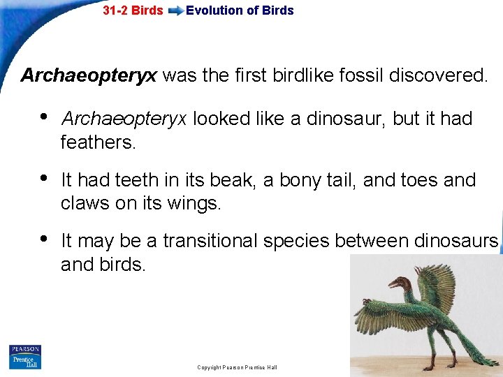 Biology Slide 1 of 53 Copyright Pearson Prentice
