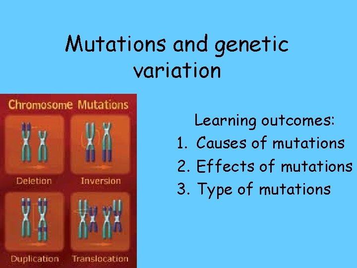 Mutations and genetic variation Learning outcomes 1 Causes