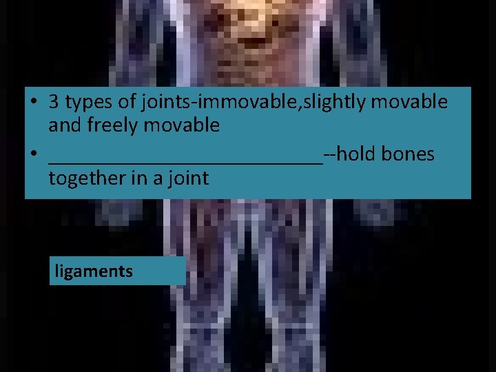 Human Body Systemsan overview of Anatomy and PhysiologyNotes