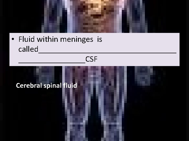 Human Body Systemsan overview of Anatomy and PhysiologyNotes