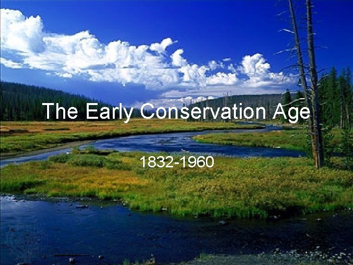 The Early Conservation Age 1832 1960 Henry David