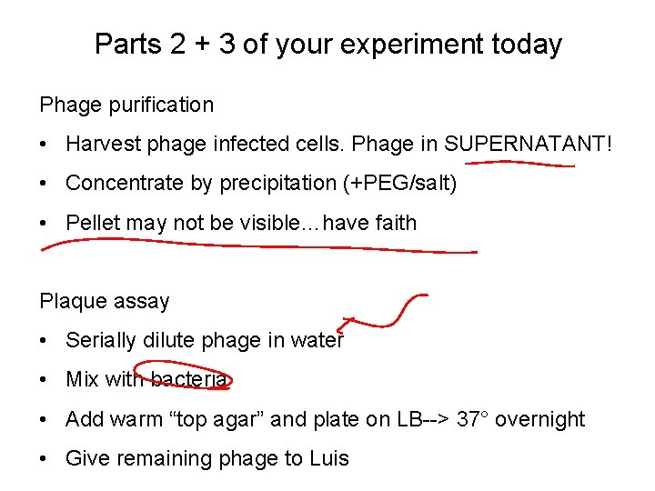Growth of phage materials Mod 3 Day 1