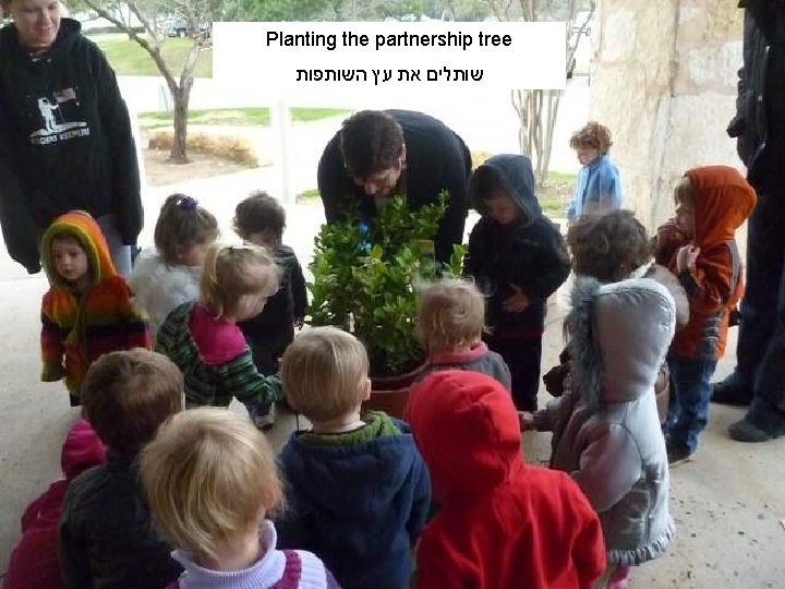 The Partnership tree in ECP Austin Sent by