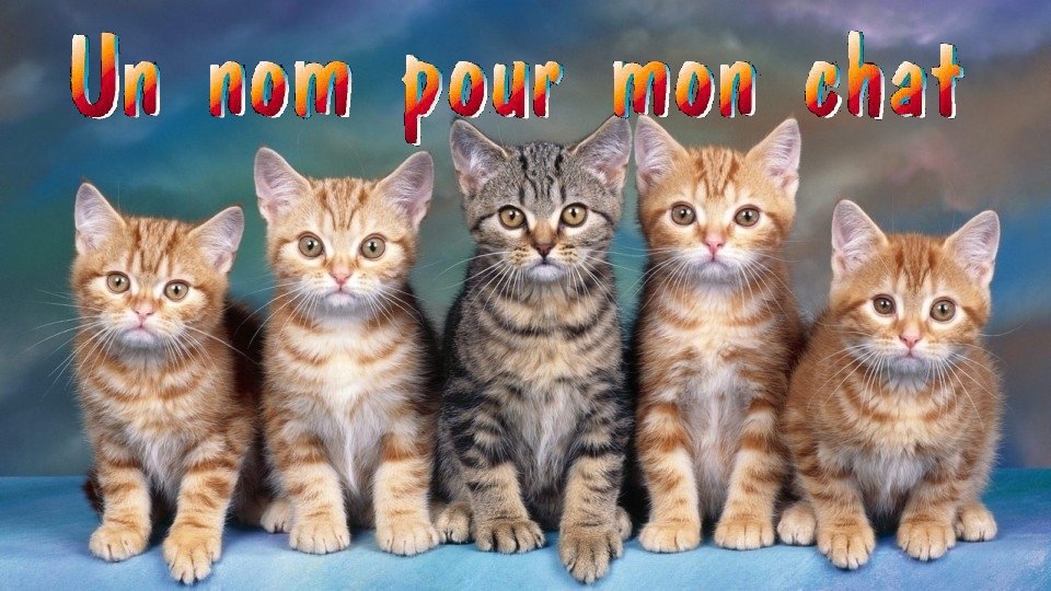 Dans mes sorties ils arrivent que je regarde