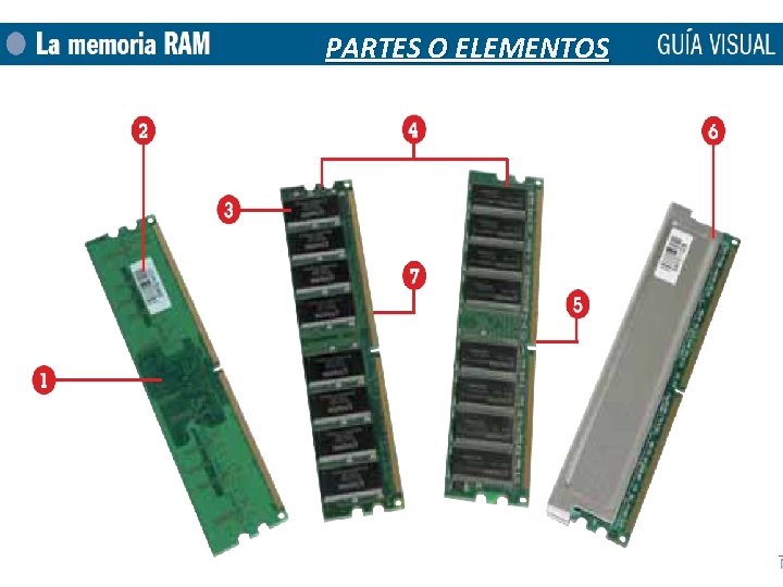MEMORIA RAM PARTES O ELEMENTOS CONCEPTOS Capacidad de