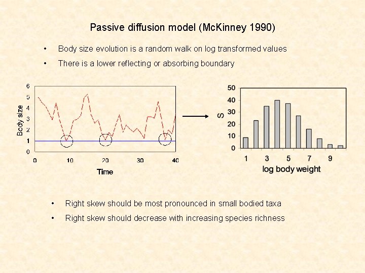 Species body weight relationships Trichoplax adhaerens Balaenoptera ...