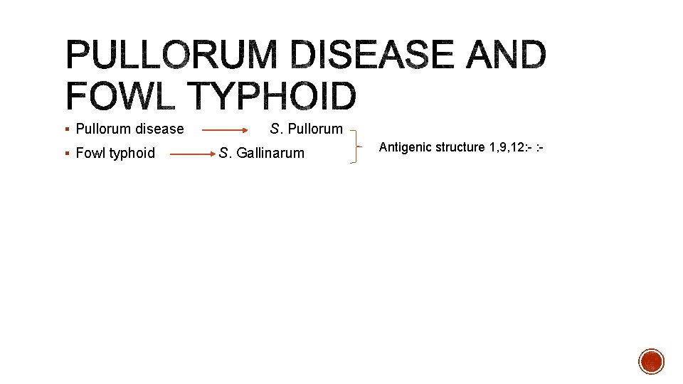 Pullorum Disease Fowl Typhoid Salmonella enterica subsp enterica