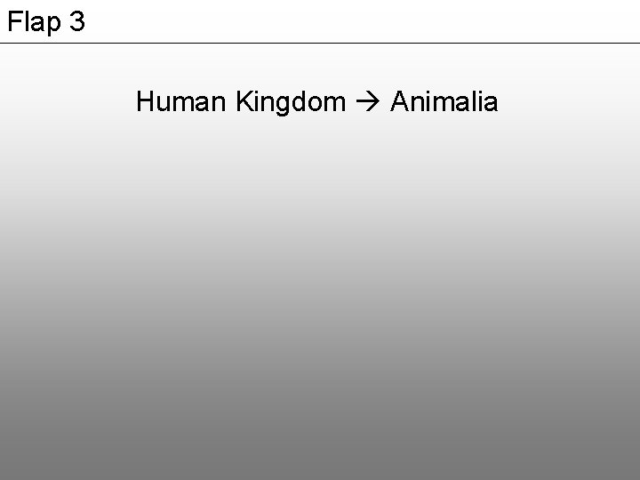 BIGGEST FLAP in the Back Flap 1 The