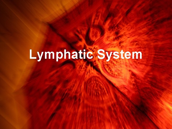 Lymphatic System I Introduction A The two organ