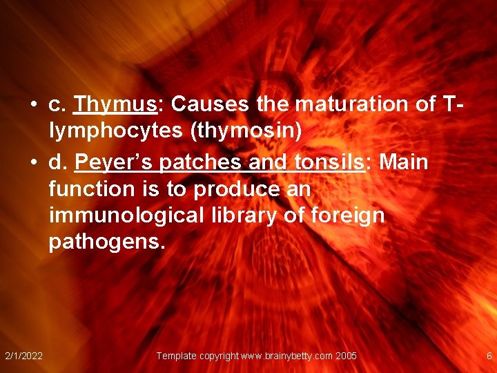 Lymphatic System I Introduction A The two organ