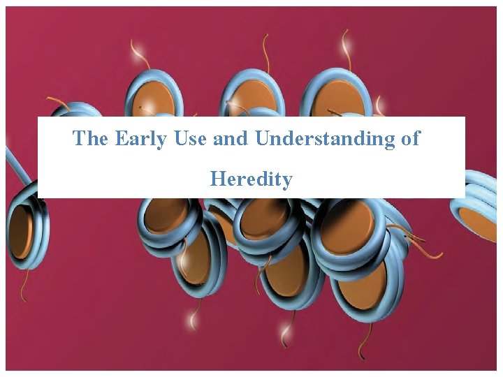 The Early Use and Understanding of Heredity Humans