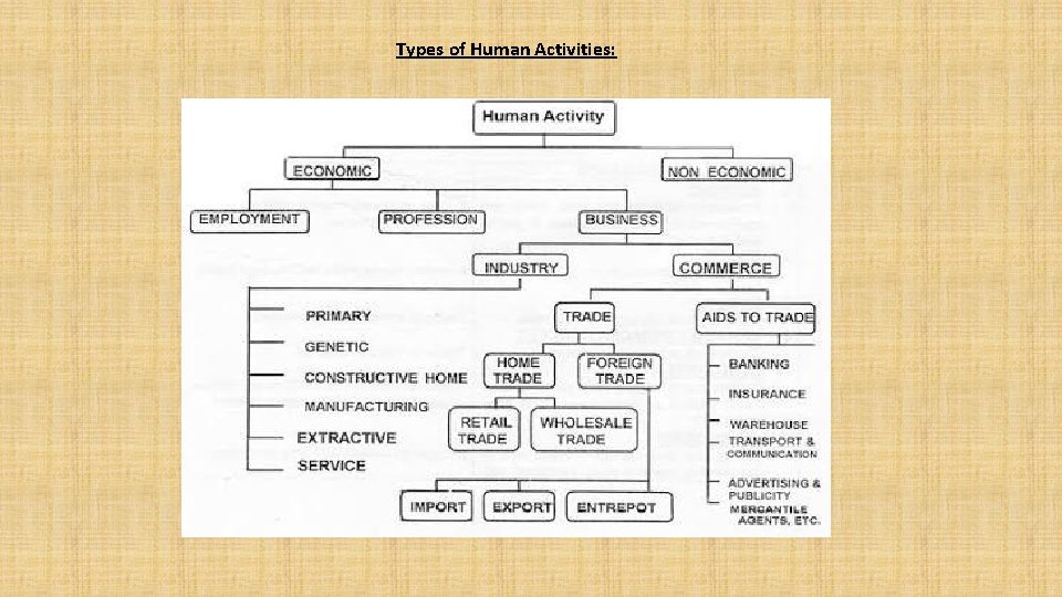 Business organisation Unit 1 Introduction Meaning and Definition