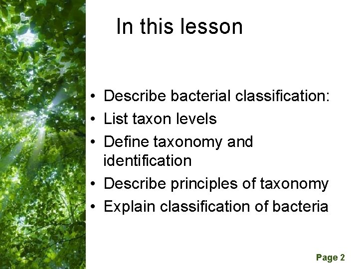 Bacterial Classification Assoc Prof Dr Yeim Grol Free