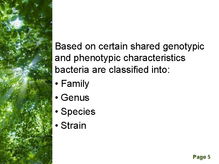 Bacterial Classification Assoc Prof Dr Yeim Grol Free