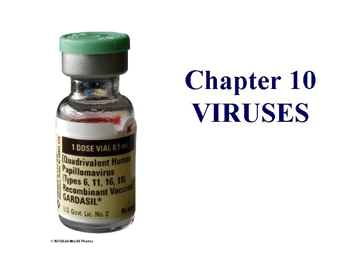 Chapter 10 VIRUSES Scientists Grow Human Muscle That