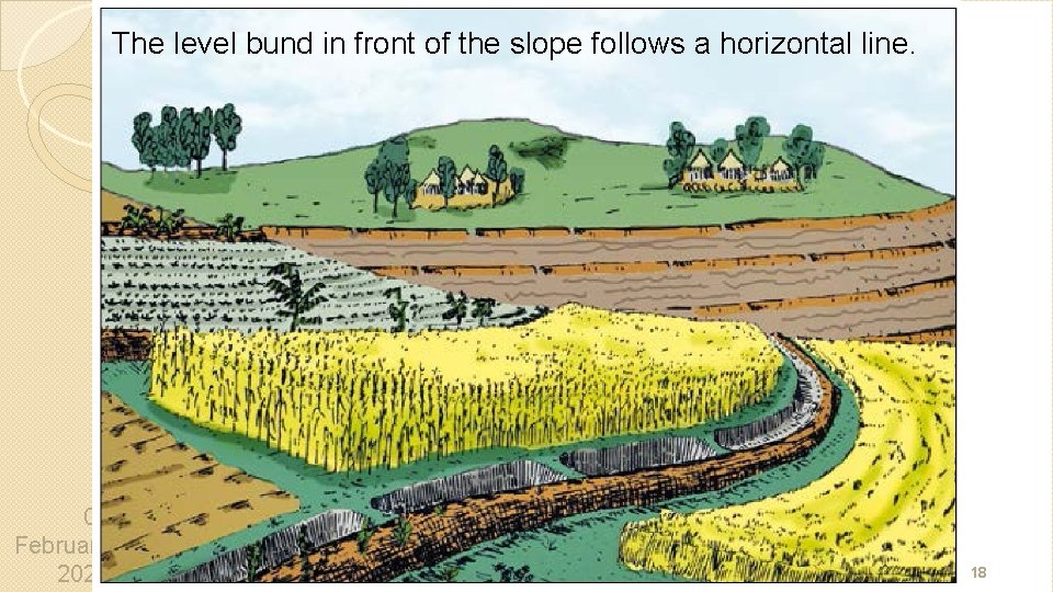 Physical conservation measures 01 February 2022 1 PhysicalStructural