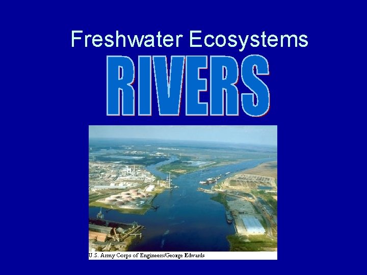 Freshwater Ecosystems Every river is part of a