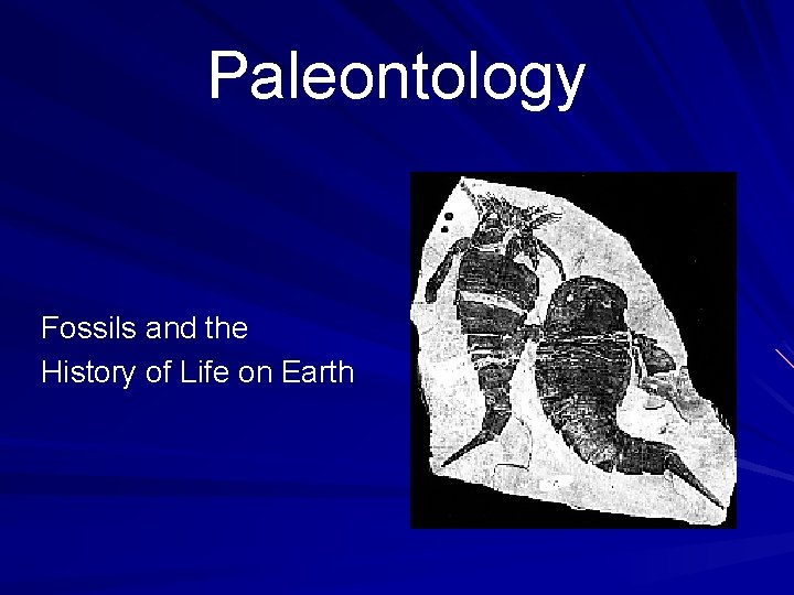 Paleontology Fossils and the History of Life on