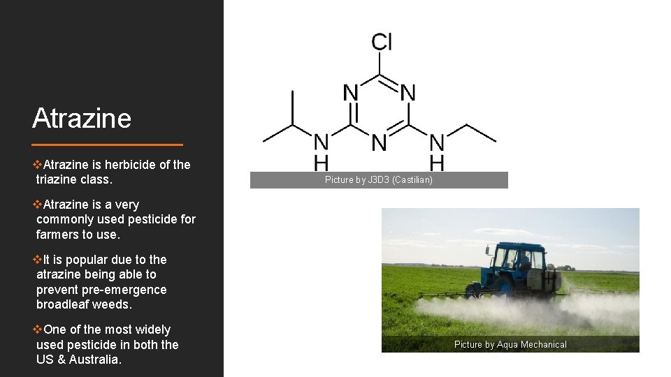 Pesticides affect Apoptosis DNA damage and global DNA