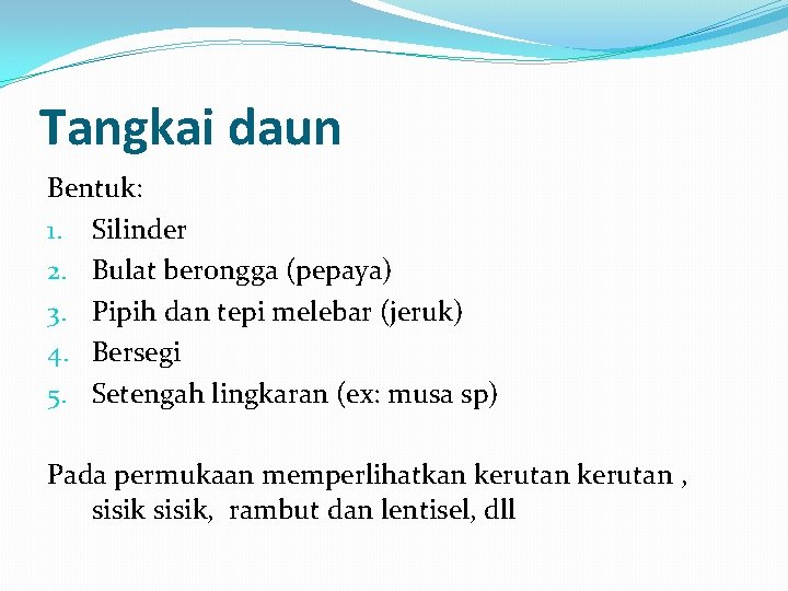 Bagian bagian daun 1 Upihpelepah vagina 2 Tangkai