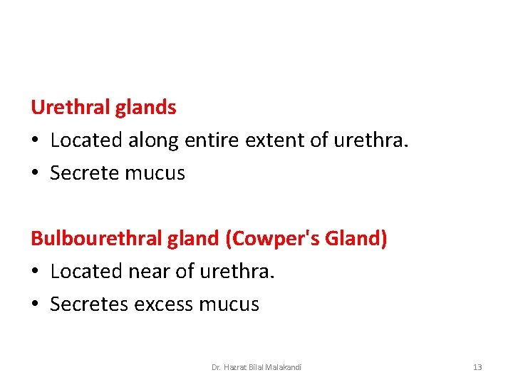 Physiology of Male Reproductive System Dr Hazrat Bilal