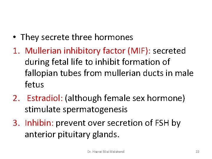 Physiology of Male Reproductive System Dr Hazrat Bilal