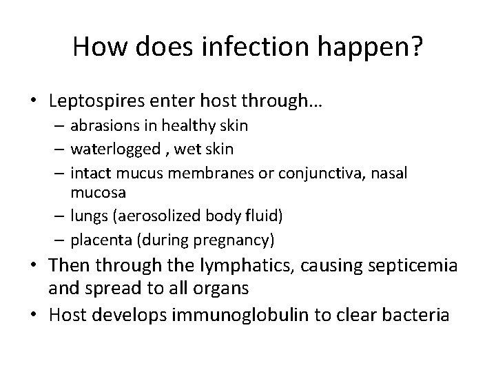 Leptospirosis Internal Medicine Workshop Series Laos September October