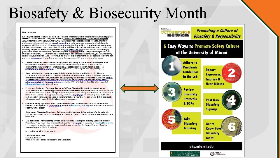 Biosafety Month 2020 Environmental Health Safety Biosafety Office