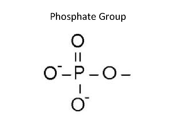 Functional Groups There are certain groups of atoms