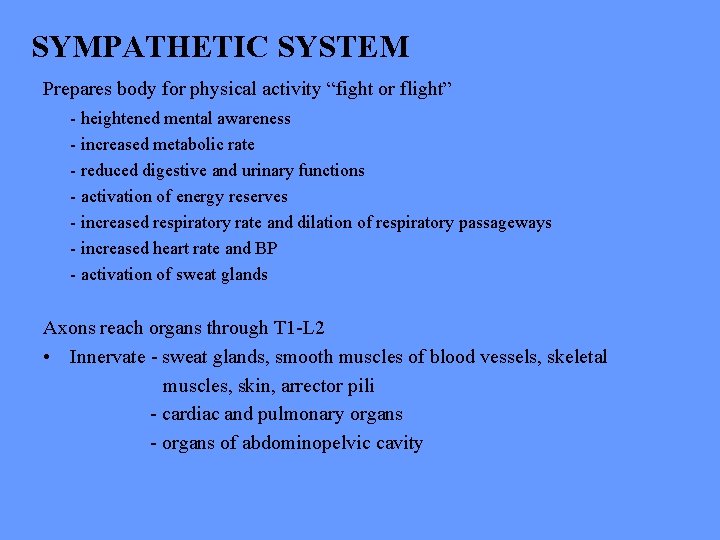 HUMAN ANATOMY LECTURE THIRTEEN AUTONOMIC NERVOUS SYSTEM PERIPHERAL