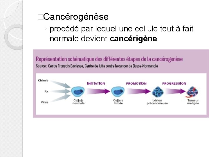 Quelles sont les mutations et les cancer lies
