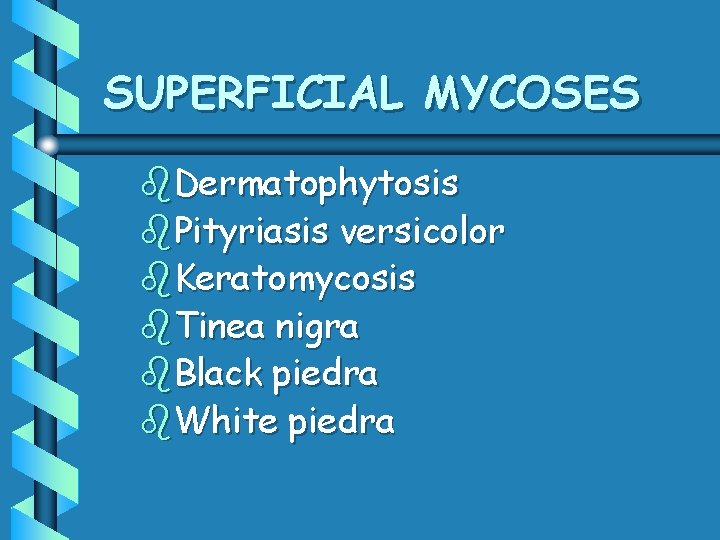 SUPERFICIAL MYCOSES b Dermatophytosis b Pityriasis versicolor b
