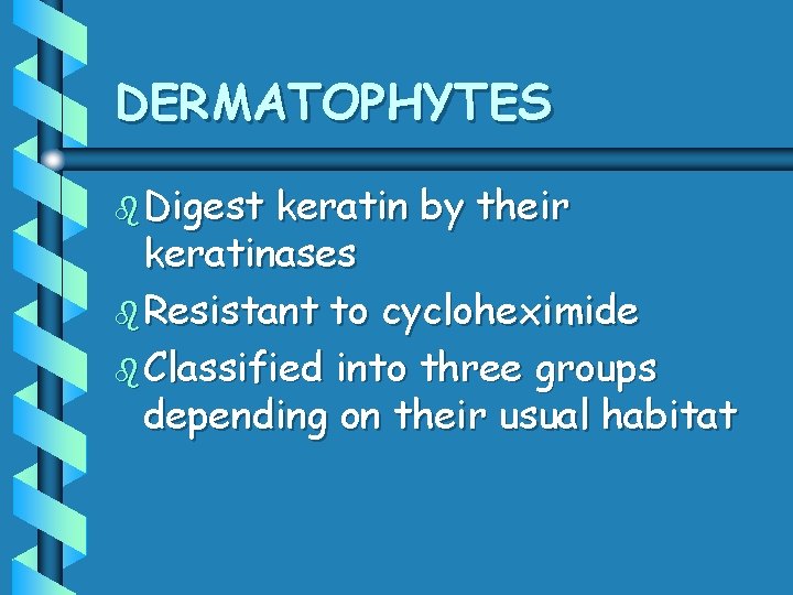 SUPERFICIAL MYCOSES b Dermatophytosis b Pityriasis versicolor b