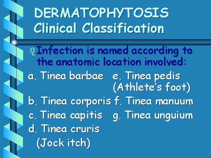 SUPERFICIAL MYCOSES b Dermatophytosis b Pityriasis versicolor b